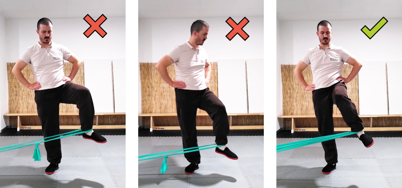 Renforcement des muscles rotateurs des hanches